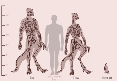 Unathi - Aurora Information Uplink